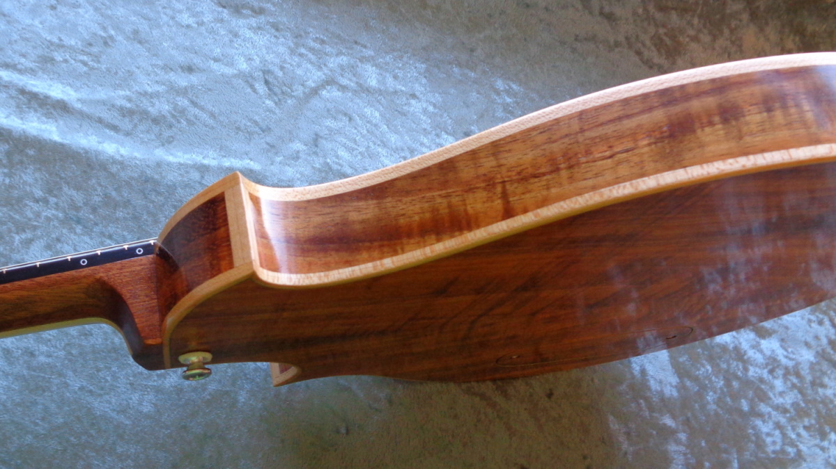 NAVA GUITARS | Electric Mandolin